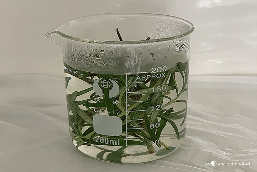 Making Herbal Infusions — Woman With Mind