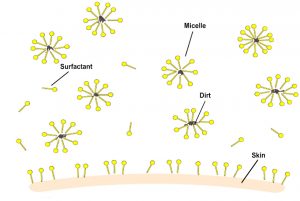 How to Select Natural Surfactants — Woman With Mind