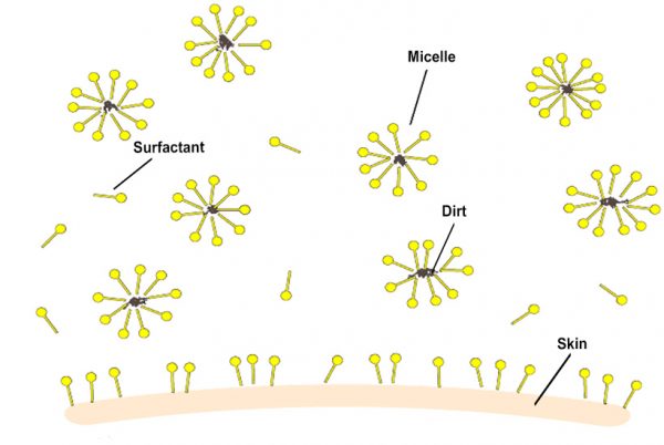 How to Select Natural Surfactants — Woman With Mind